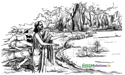 KSEEB Solutions for Class 9 English Prose Chapter 1 The Enchanted Pool ...